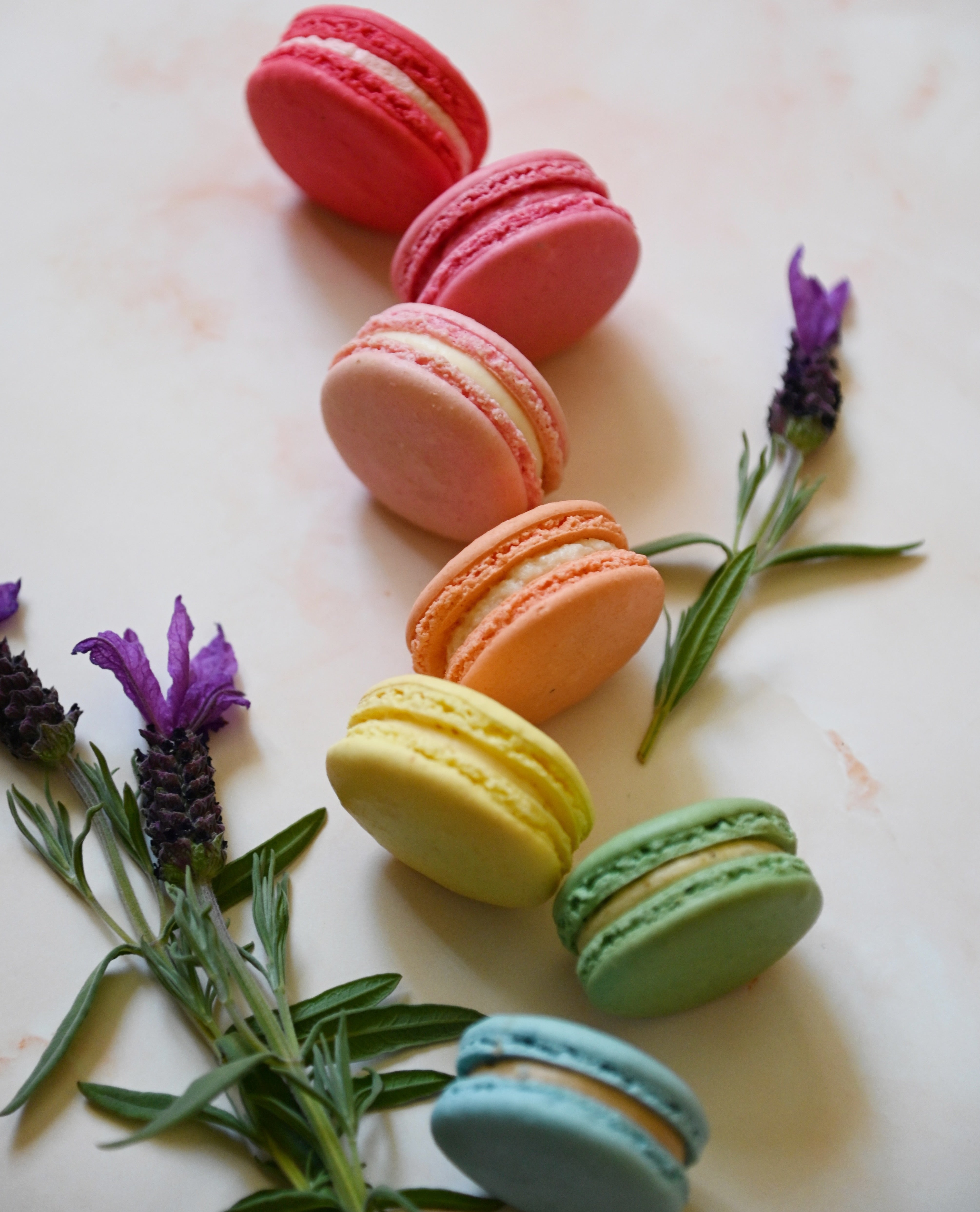 Individual Macarons – Mademoiselle Macaron